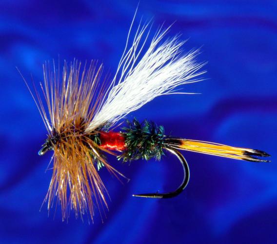 Stenzel Fly Fishing Shop | Royal Trude Royal Trude-12 | purchase online